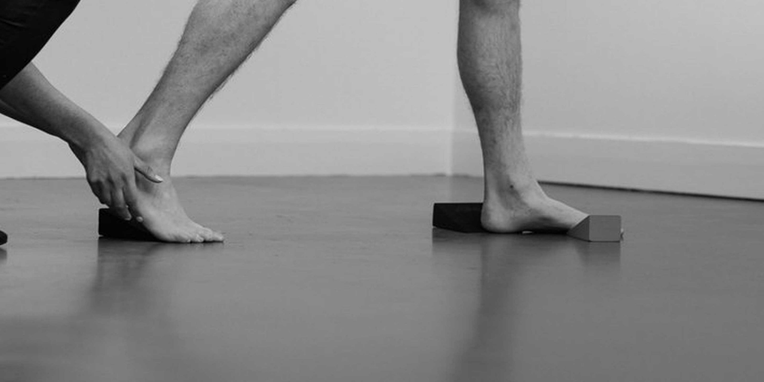 Anatomy in Motion » 8th Element